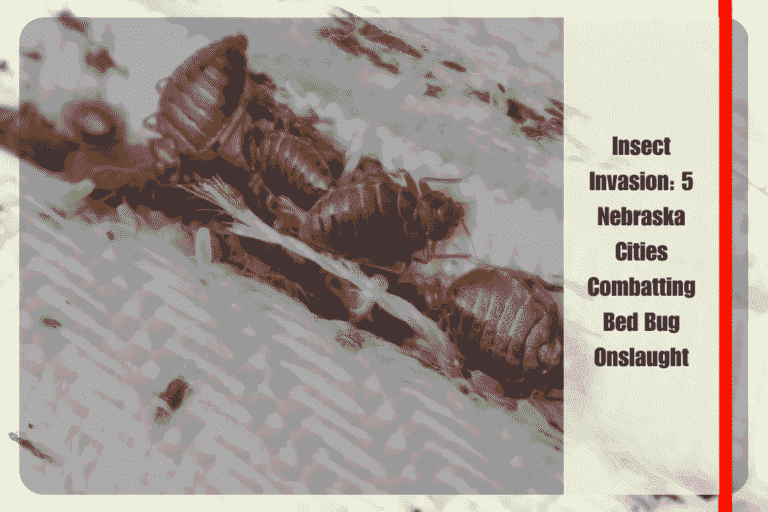 Insect Invasion: 5 Nebraska Cities Combatting Bed Bug Onslaught - Huron ...