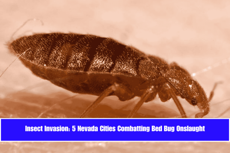 Insect Invasion: 5 Nevada Cities Combatting Bed Bug Onslaught - Huron ...