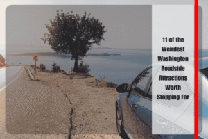 11 of the Weirdest Washington Roadside Attractions Worth Stopping For ...